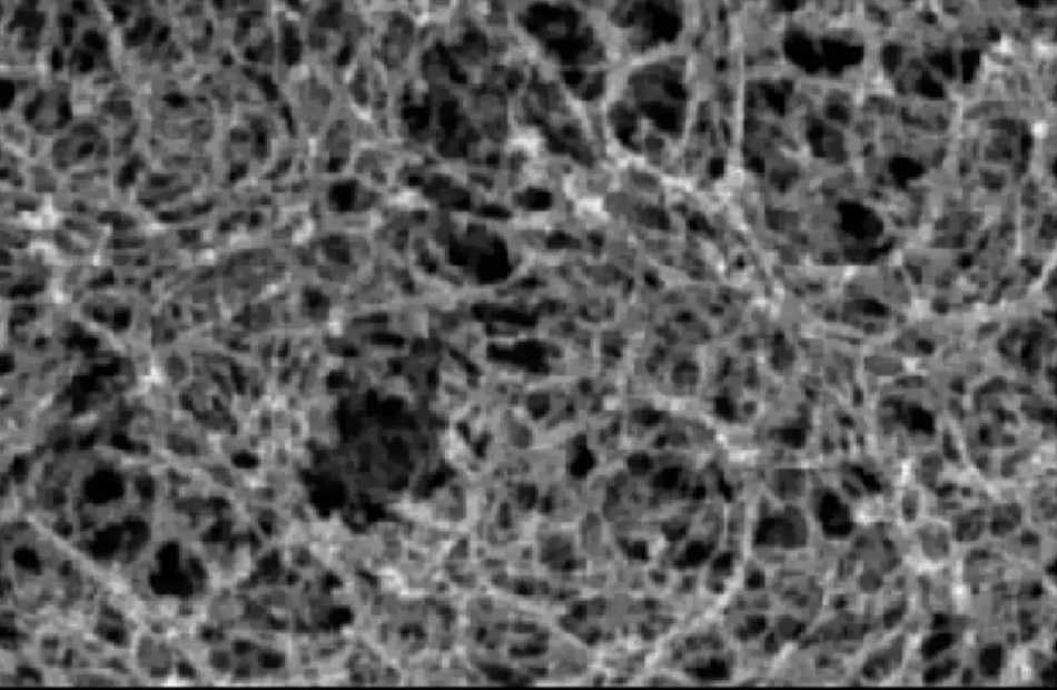 PuraBond - 3-D Matrix